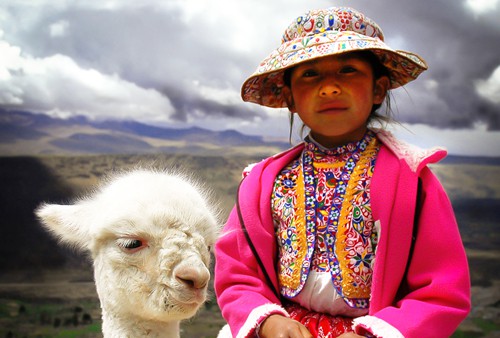 Pin by Jim Ferri's NeverStopTraveling on Llamas & Friends | Peru, Llama ...