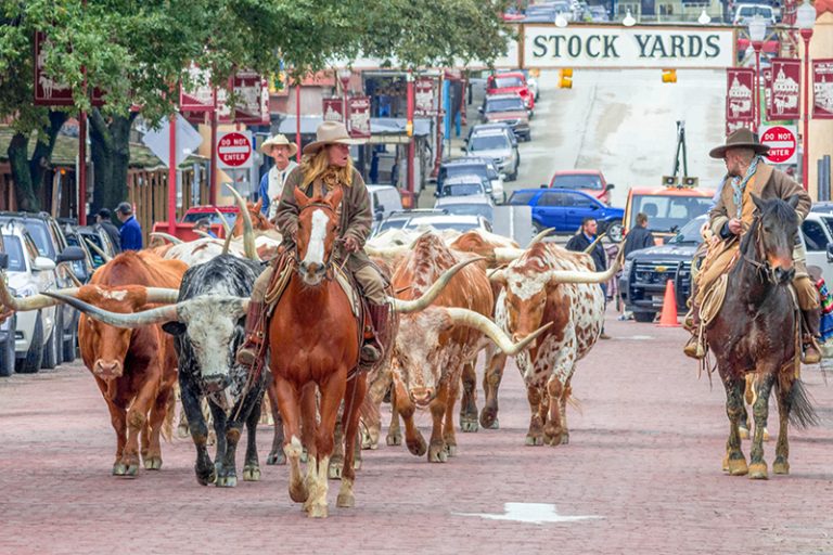 Texas Road Trip - the Chisholm Trail – NeverStopTraveling