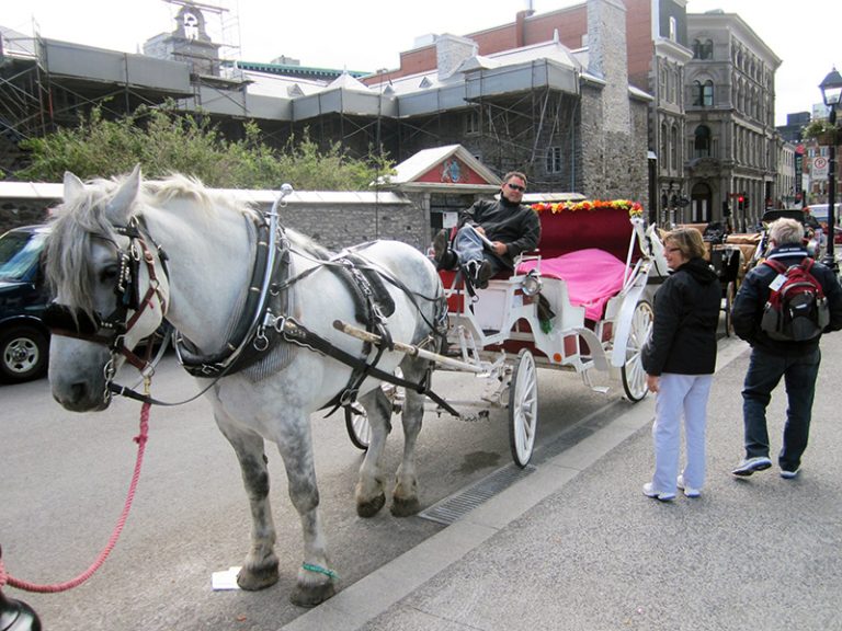 A Weekend in Montreal, for a Quick Getaway – NeverStopTraveling