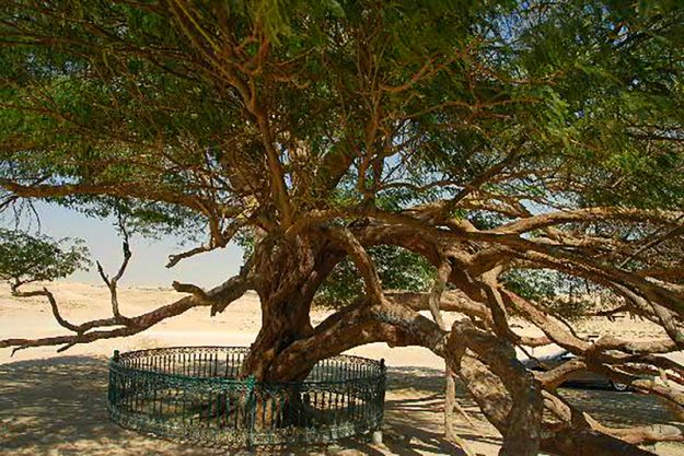 Things to Do in Bahrain You May Not Have Thought Of – NST