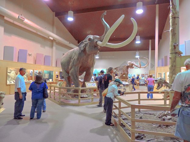 Small Museums in the US – 10 Really Interesting Ones You'll Love.